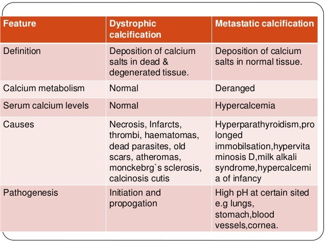 Amyloidosis And Pathological Calcification