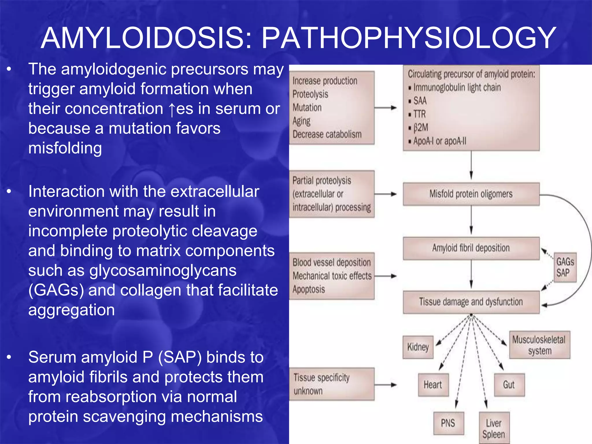 Amyloidosis | PPTX