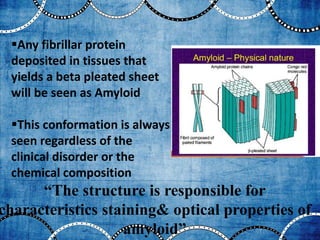Beta Pleated Sheet Amyloid