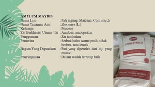 Amylum | PPTX