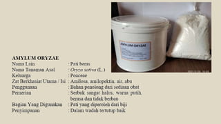 Amylum | PPTX