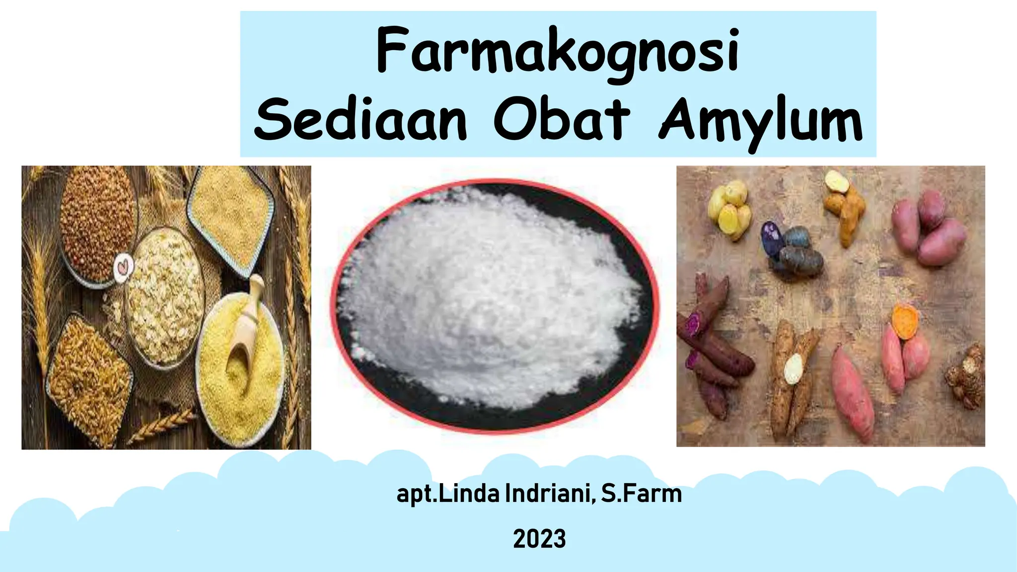 materi Amylum Farmakognosi kelas XI.pptx