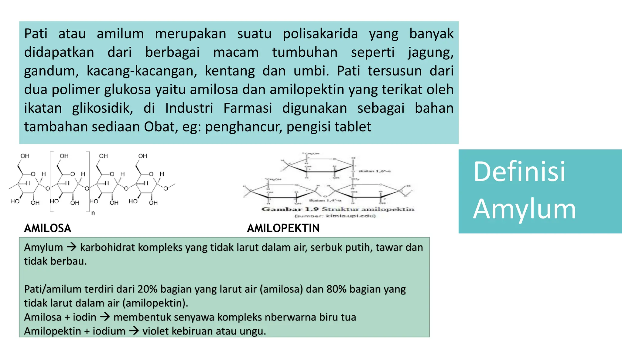 materi Amylum Farmakognosi kelas XI.pptx