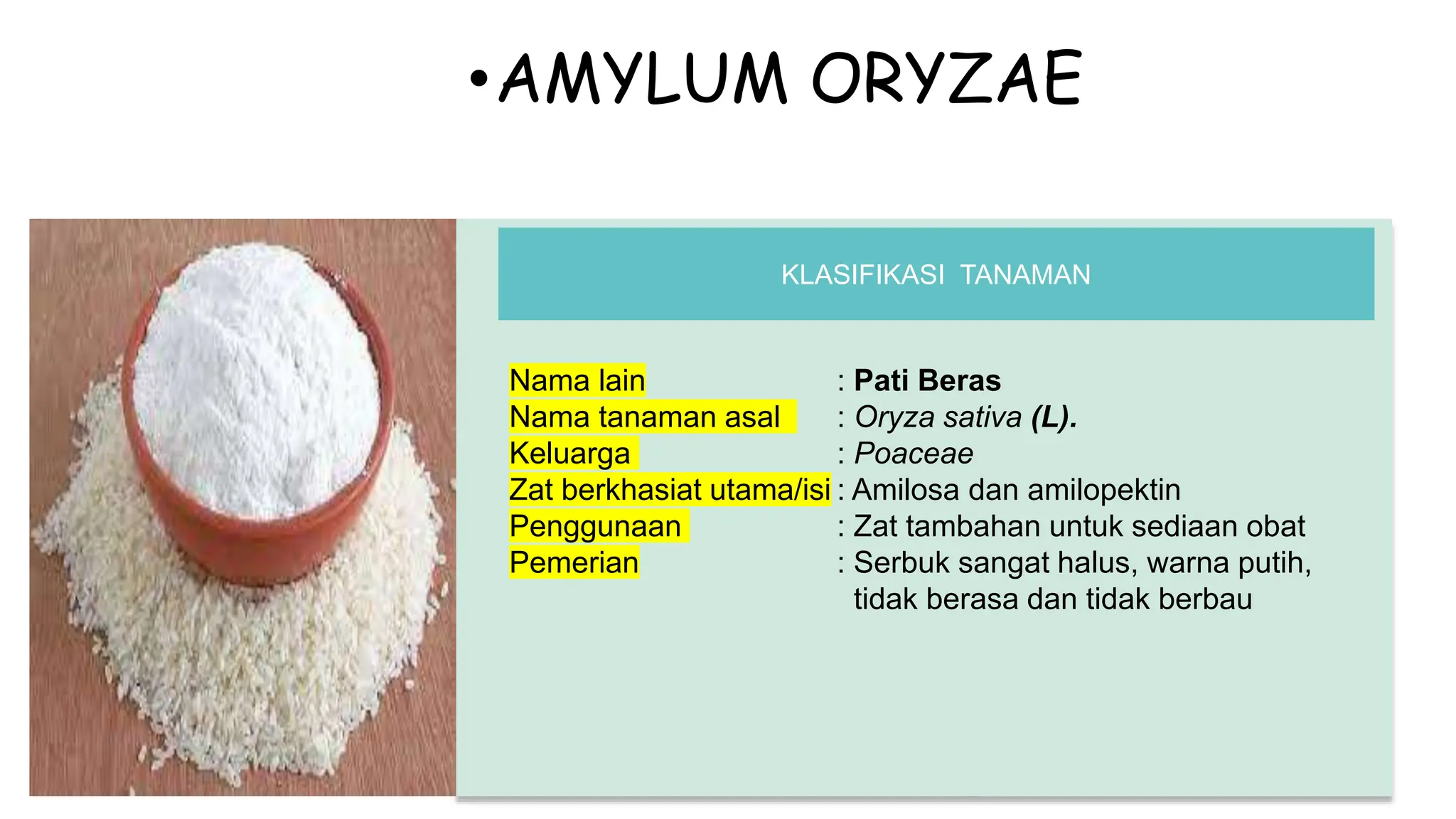 materi Amylum Farmakognosi kelas XI.pptx
