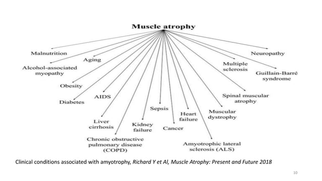 Muscle Atrophy (Amyotrophic) diseases by TSAMO.pptx