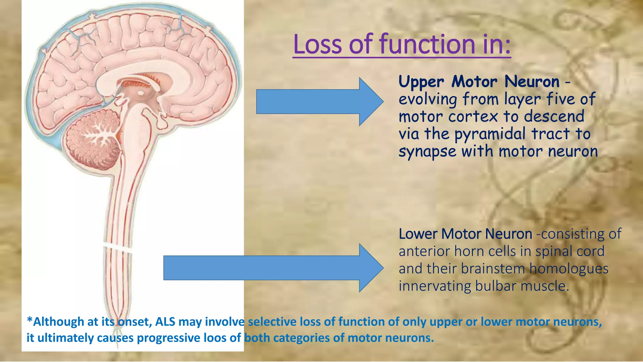 Amyotrophic lateral sclerosis (als) | PPTX