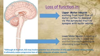 Amyotrophic lateral sclerosis (als) | PPTX