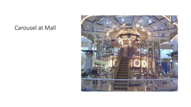 Amy shoemaker pictures | PPTX