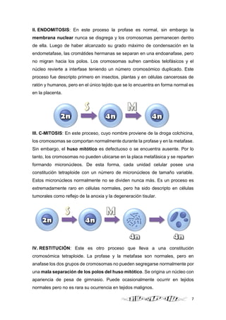 Alteraciones Numéricas | PDF