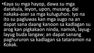 An-Burabod-lesson-6-updated jokjgyighjkmmmmmm | PPTX | Zoos & Aquariums ...