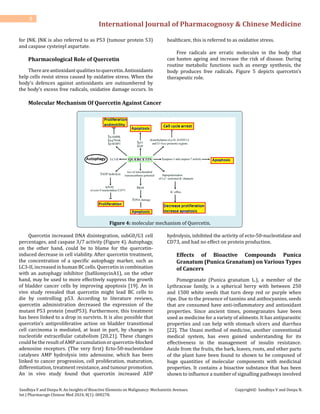 an-insights-of-bioactive-elements-on-malignancy-mechanistic-avenues.pdf