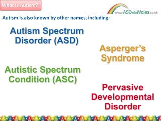 An-Introduction-To-Autism.pptx