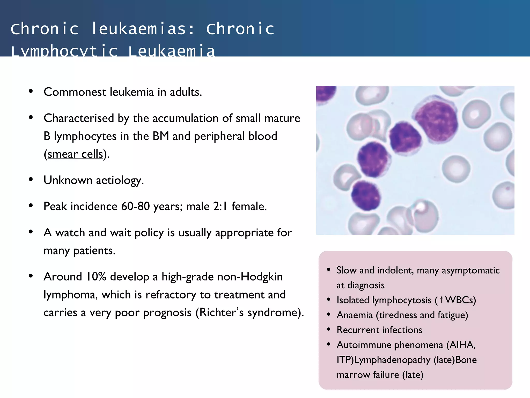 An introduction to haematological malignancies | PPT