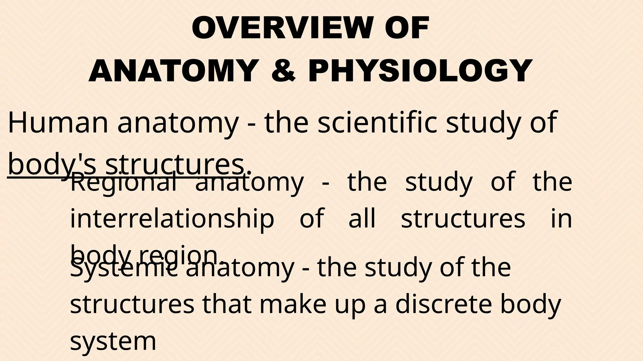 An Introduction to Human Anatomy and Physiology | PPTX