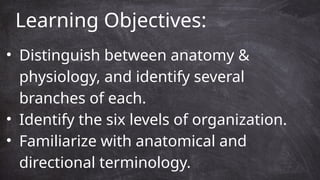 An Introduction to Human Anatomy and Physiology | PPTX