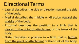 An Introduction to Human Anatomy and Physiology | PPTX