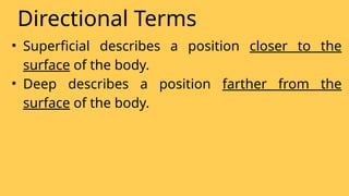 An Introduction to Human Anatomy and Physiology | PPTX