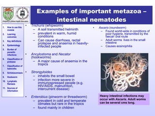 An introduction to Medical Parasitology | PPT