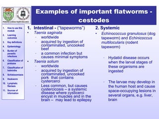 An introduction to Medical Parasitology | PPT