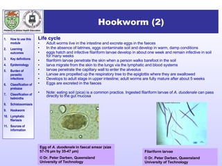 An introduction to Medical Parasitology | PPT