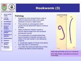 An introduction to Medical Parasitology | PPT