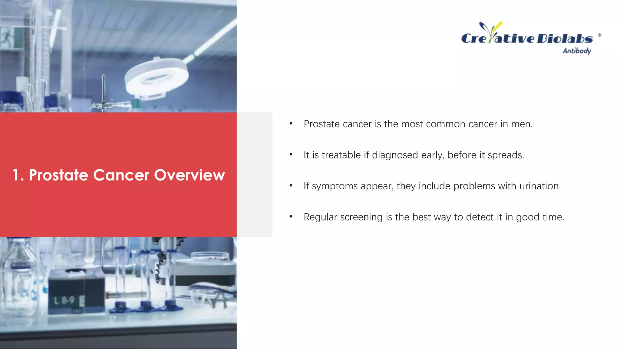 An Overview of Prostate Cancer - Creative Biolabs | PPTX