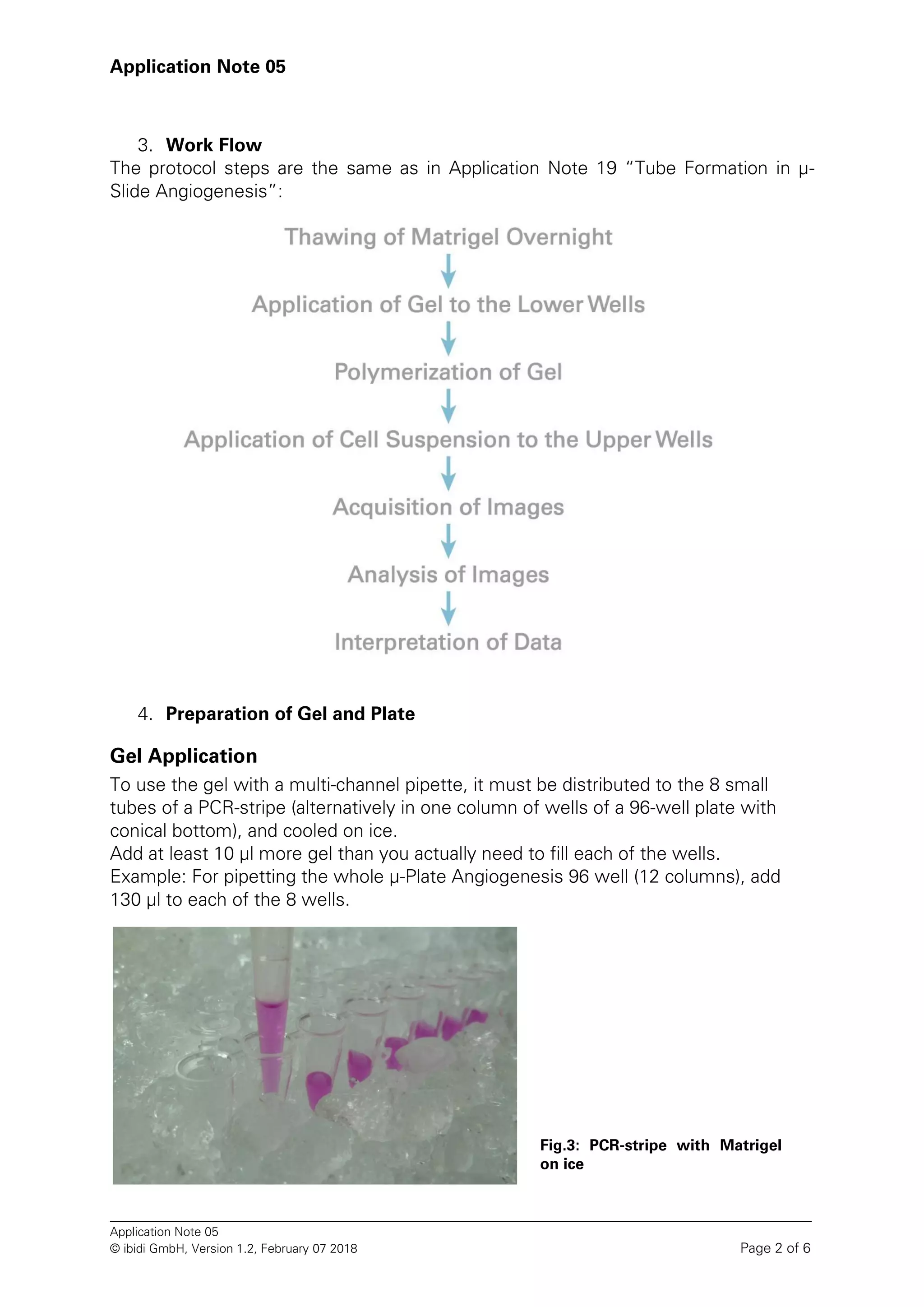 Tube formation Assays with the u-plate Angiogensis 96 well | PDF ...