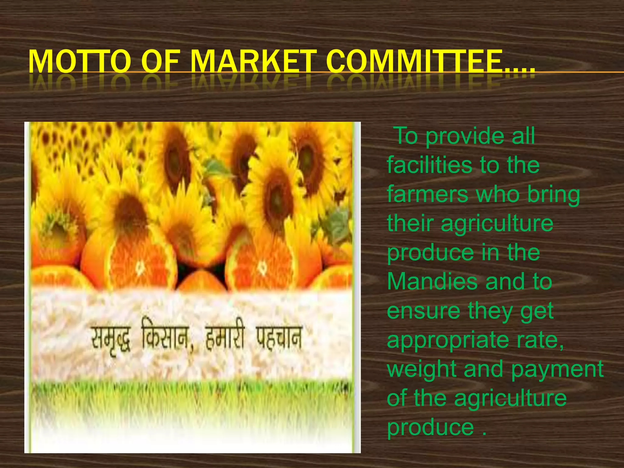 Grain Market,Hisar(Haryana) | PPTX
