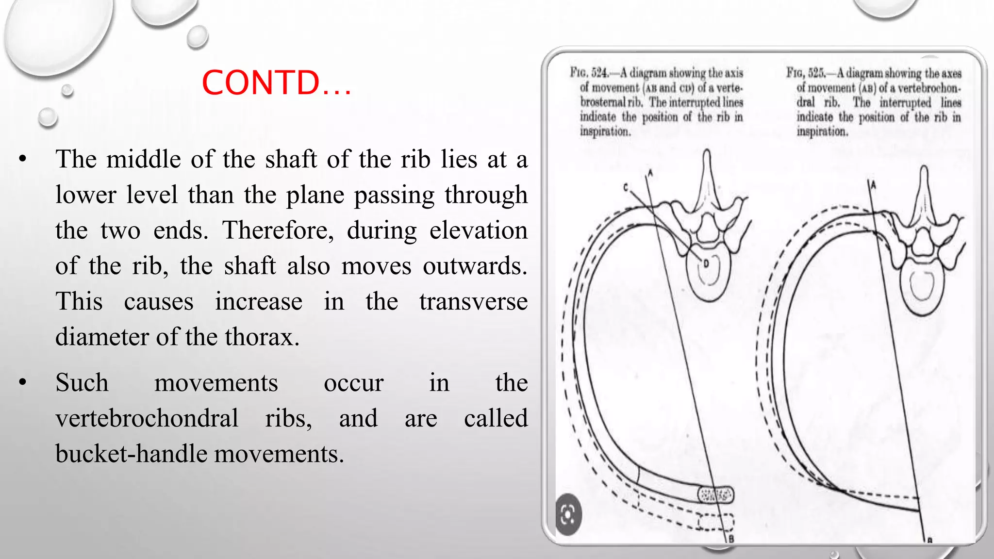 AN 21 mechanism of respiration.pptx