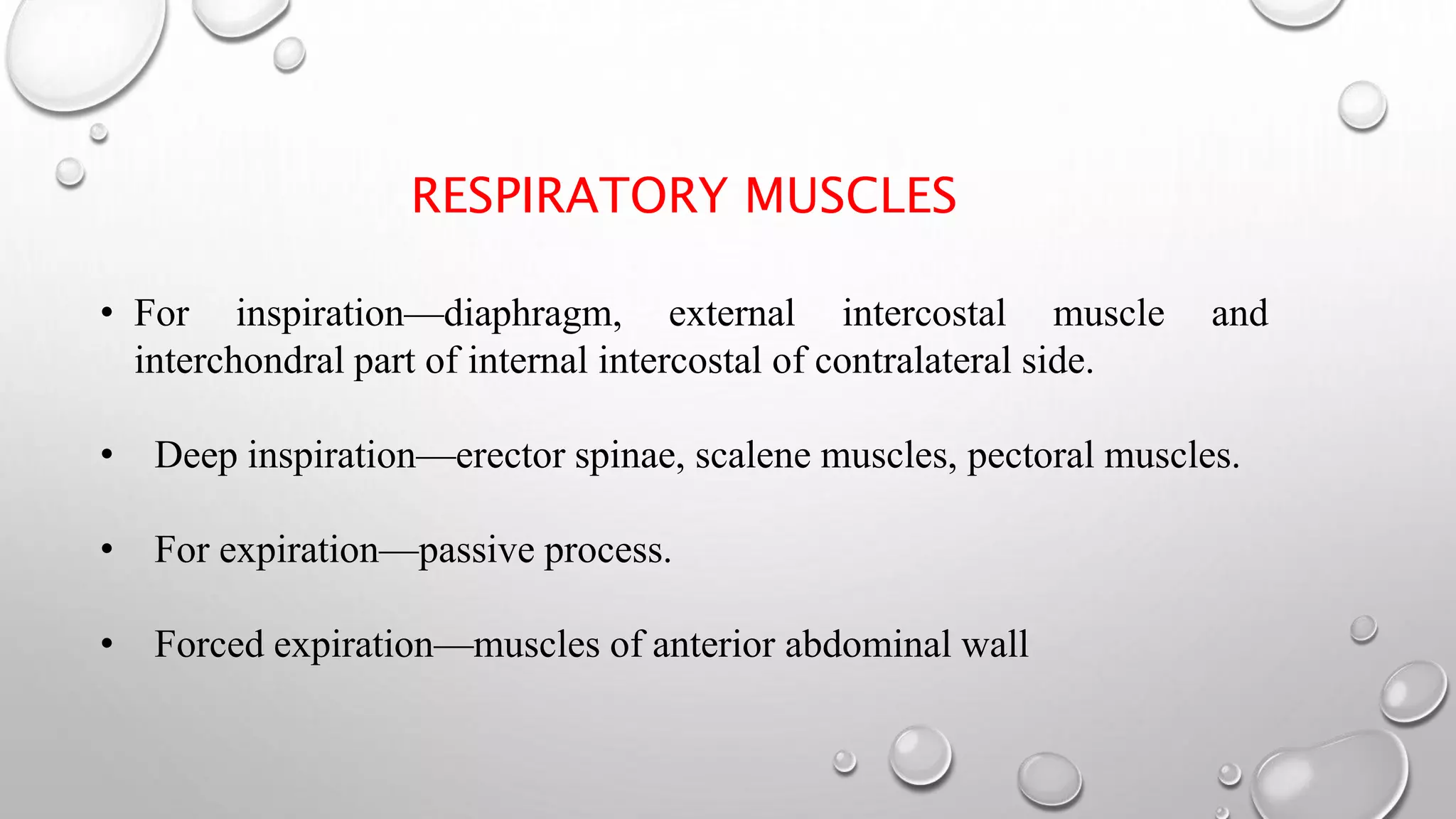 AN 21 mechanism of respiration.pptx