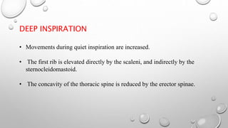 AN 21 mechanism of respiration.pptx