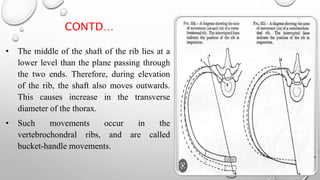 AN 21 mechanism of respiration.pptx