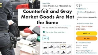 Counterfeit and gray market goods: Why brands are seeing red | PPT