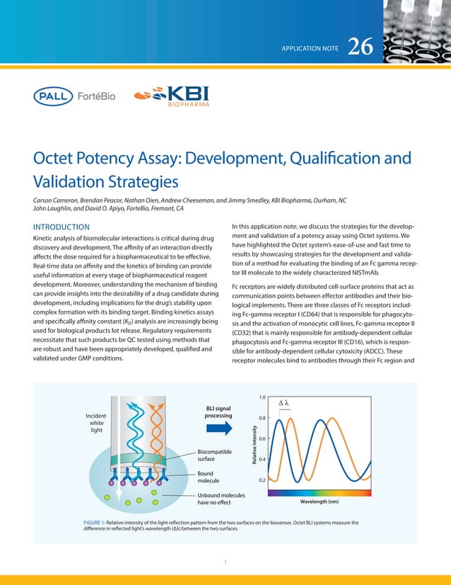 Octet Potency Assay: Development, Qualification and Validation ...
