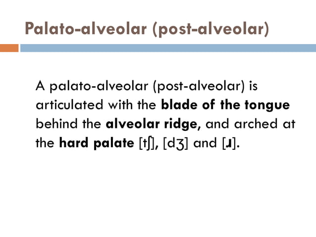 AN423-Belfakir-Intro-2-Lx-3-Articulatory-phonetics-consonants.pdf