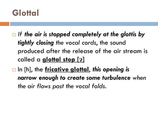 AN423-Belfakir-Intro-2-Lx-3-Articulatory-phonetics-consonants.pdf