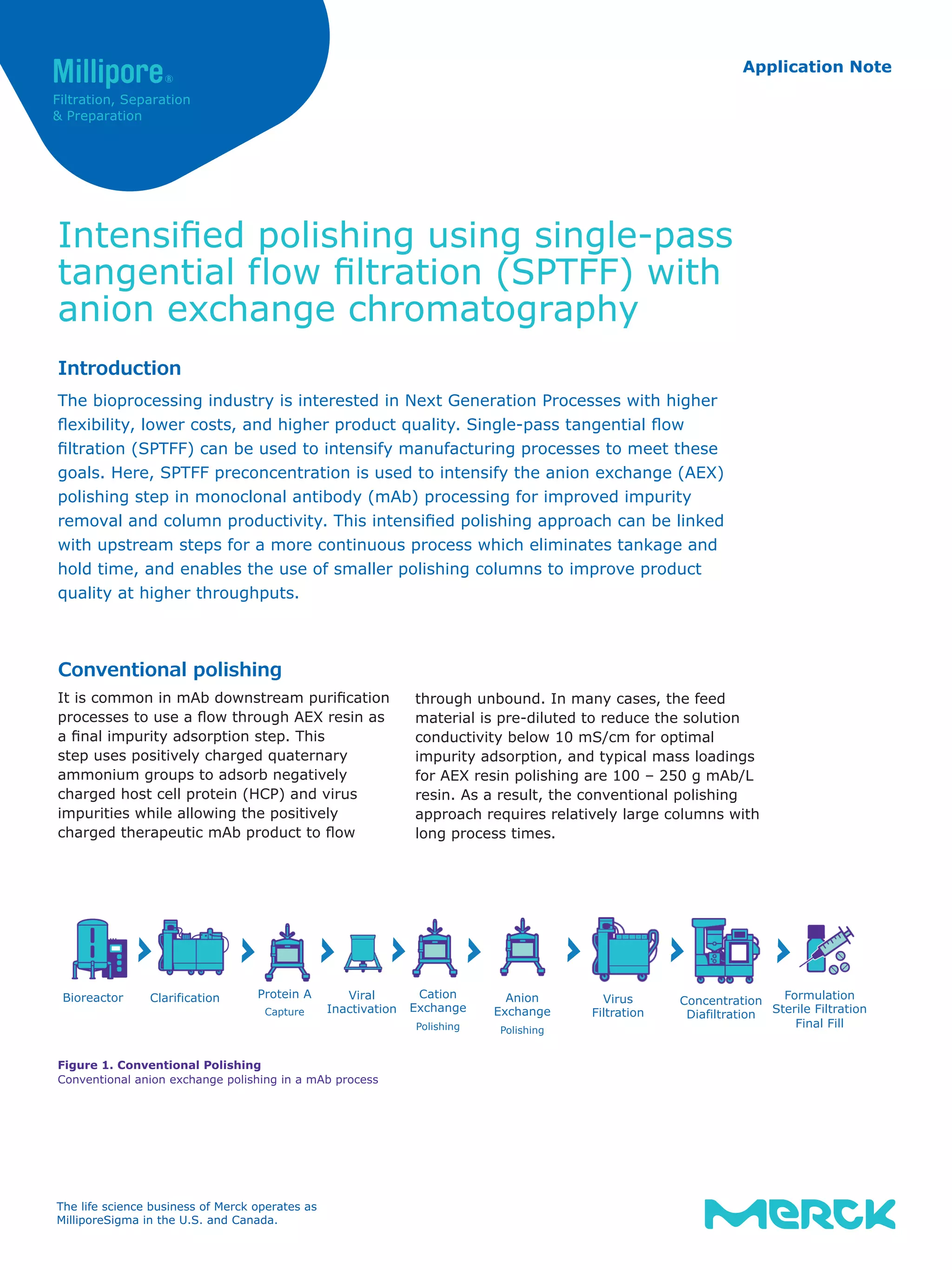 Intensified polishing using single-pass tangential flow filtration (SPTFF) with anion exchange ...