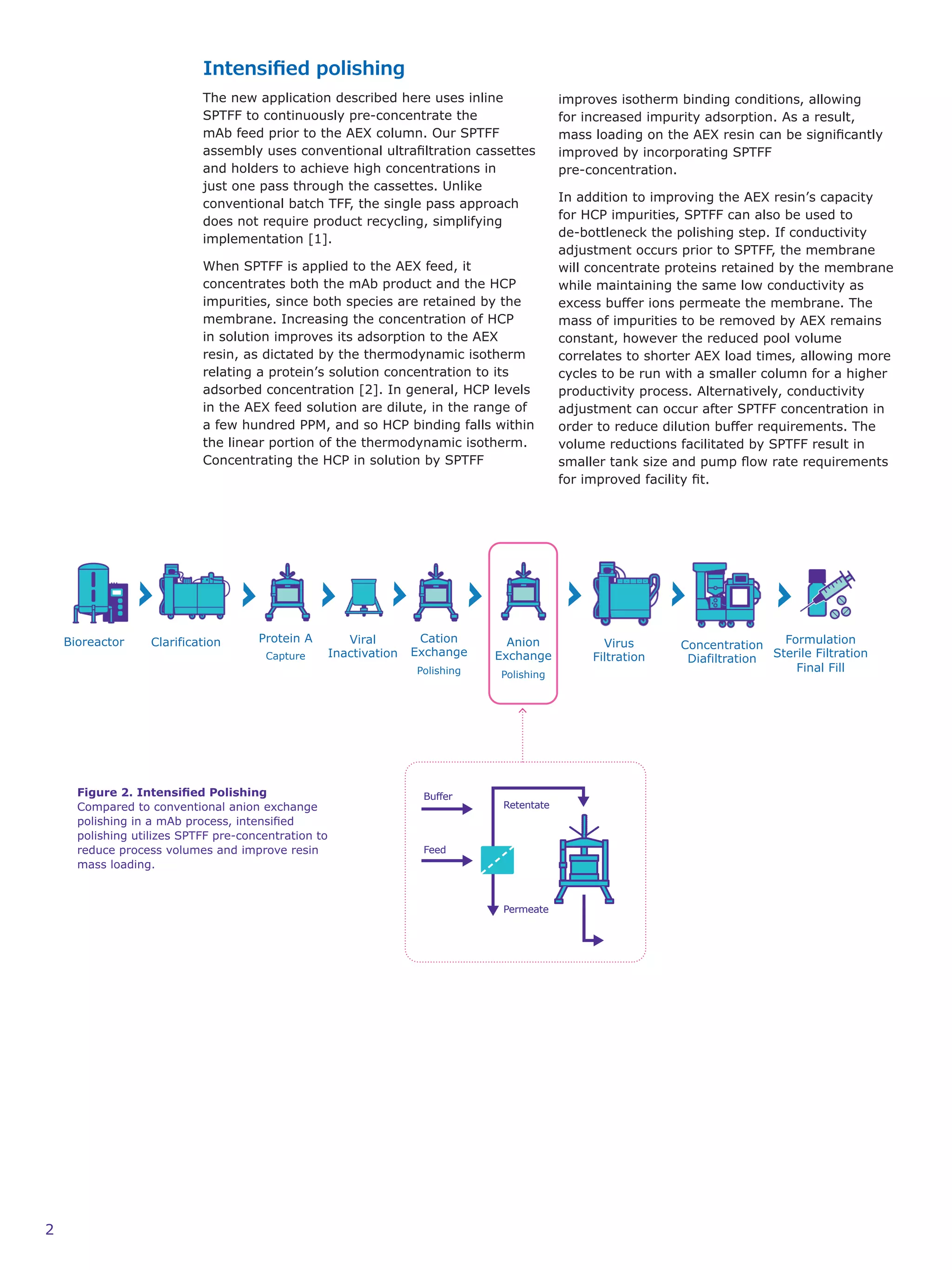 Intensified polishing using single-pass tangential flow filtration (SPTFF) with anion exchange ...