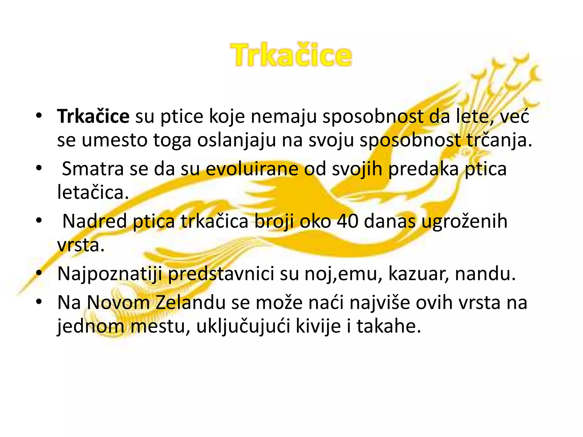 Raznovrsnost ptica, Ana | PPTX