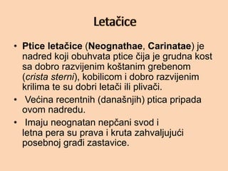 Raznovrsnost ptica, Ana | PPTX