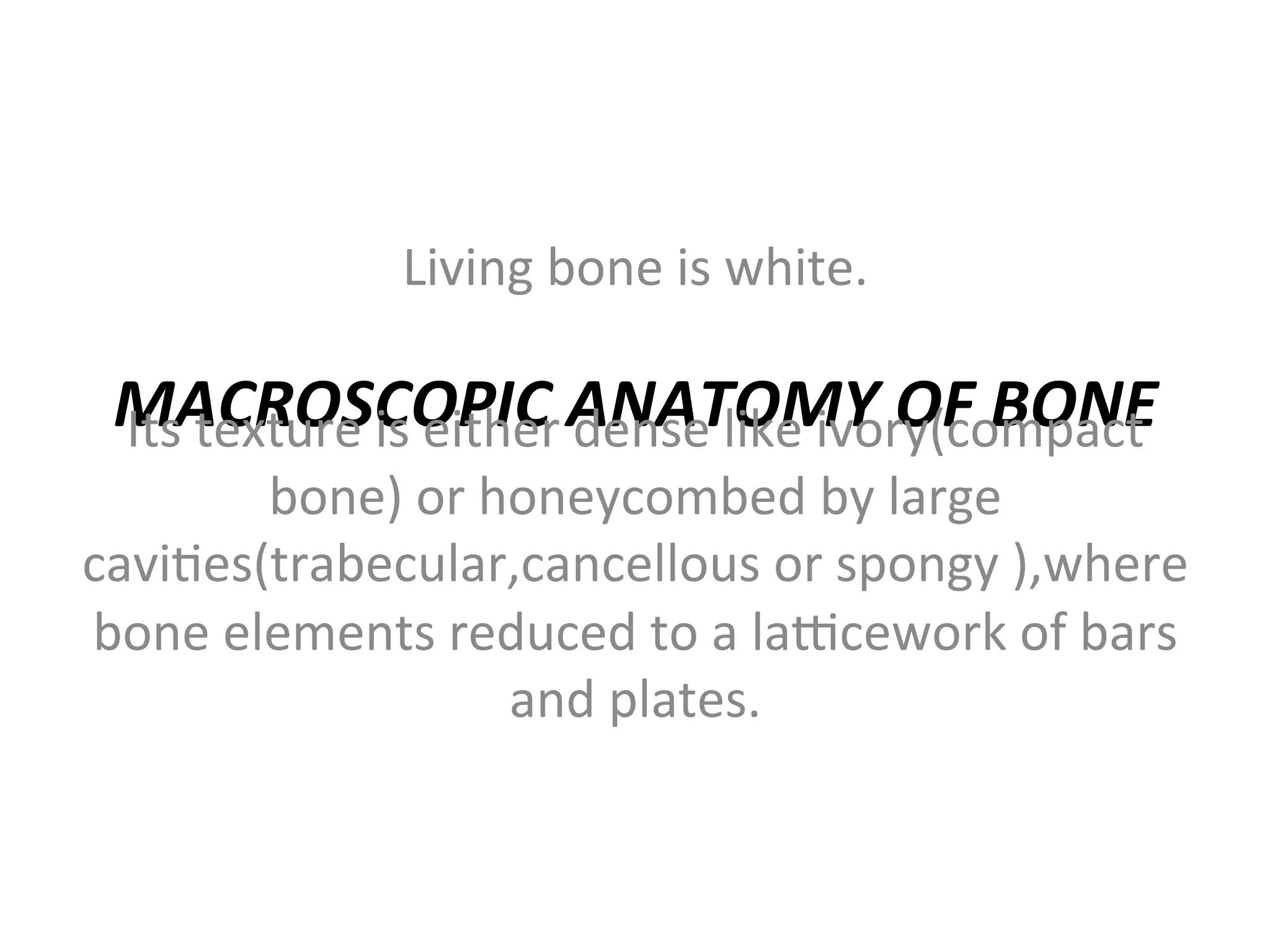Anatomy of bone & fracture healing related to orthopaedics. | PDF
