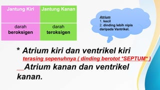 peredaran darah dan pengankutannya form 3 | PPT