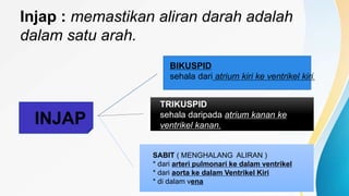 peredaran darah dan pengankutannya form 3 | PPT