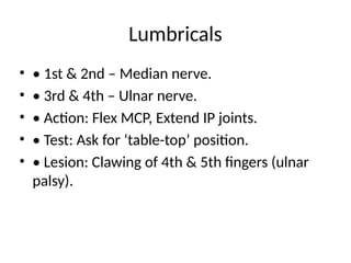 Anatomy of hand neurology general medicine.pptx