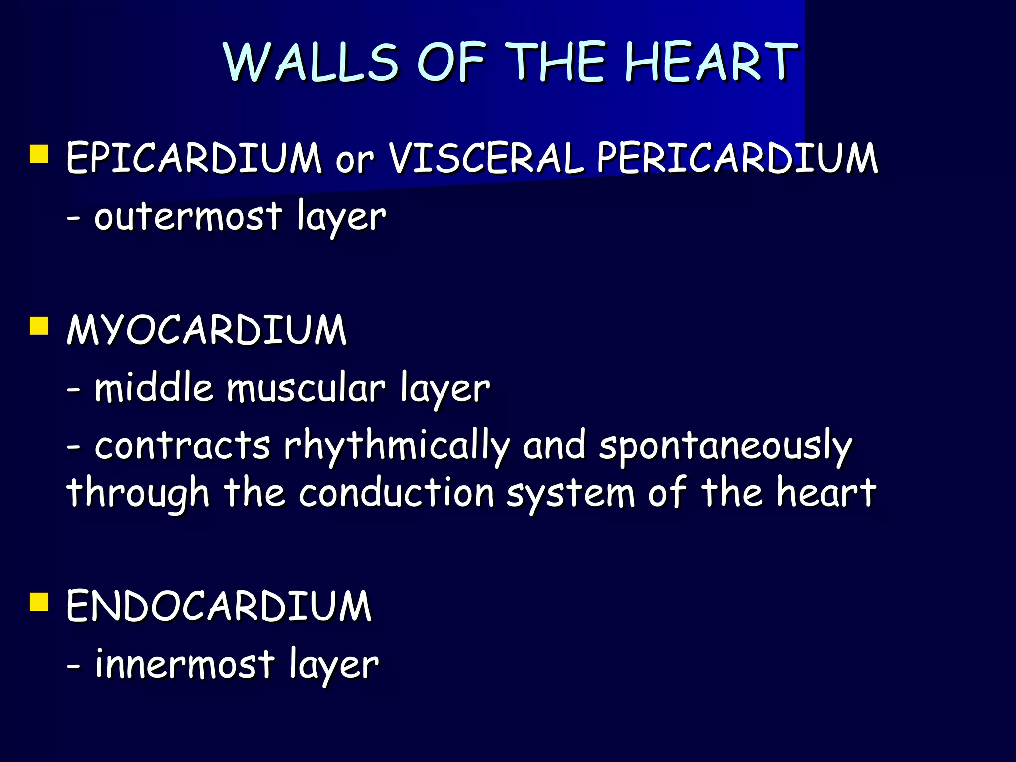 Ana cardiovascular systemlec | PPT | Heart and Cardiovascular Diseases ...