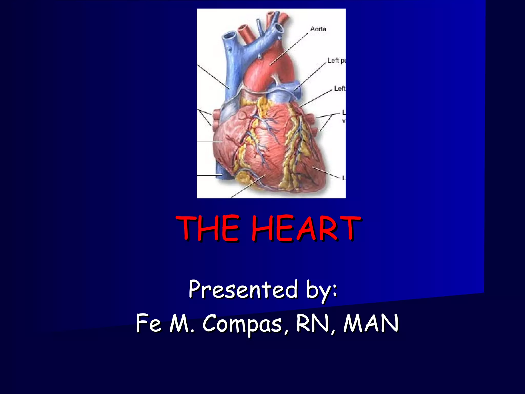 Ana cardiovascular systemlec | PPT
