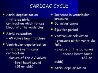 Ana cardiovascular systemlec | PPT