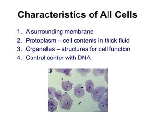 Ana-Lec-6-cell-structure_ppt.ppt