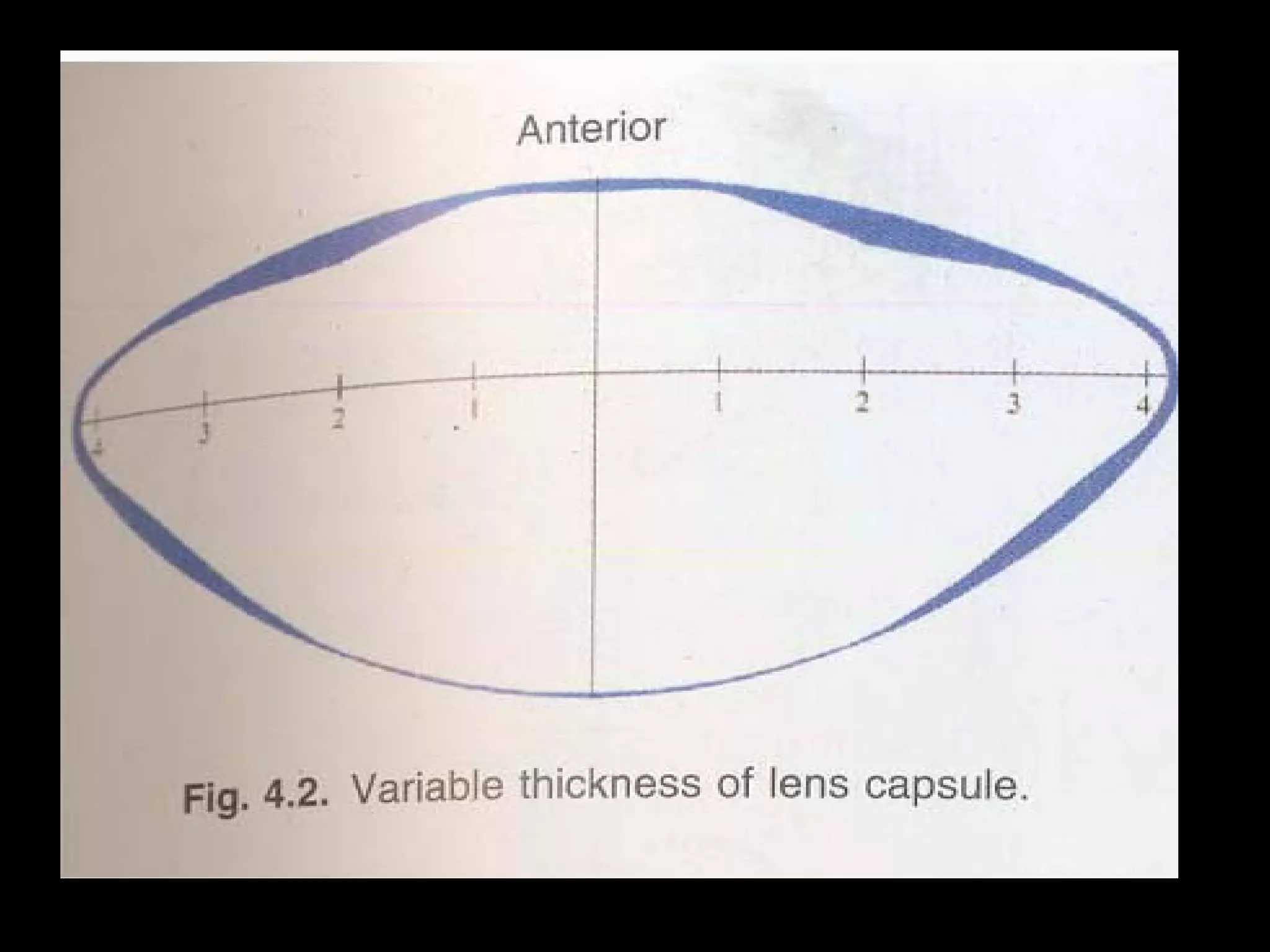 anatomy & physiology of lens | PPT