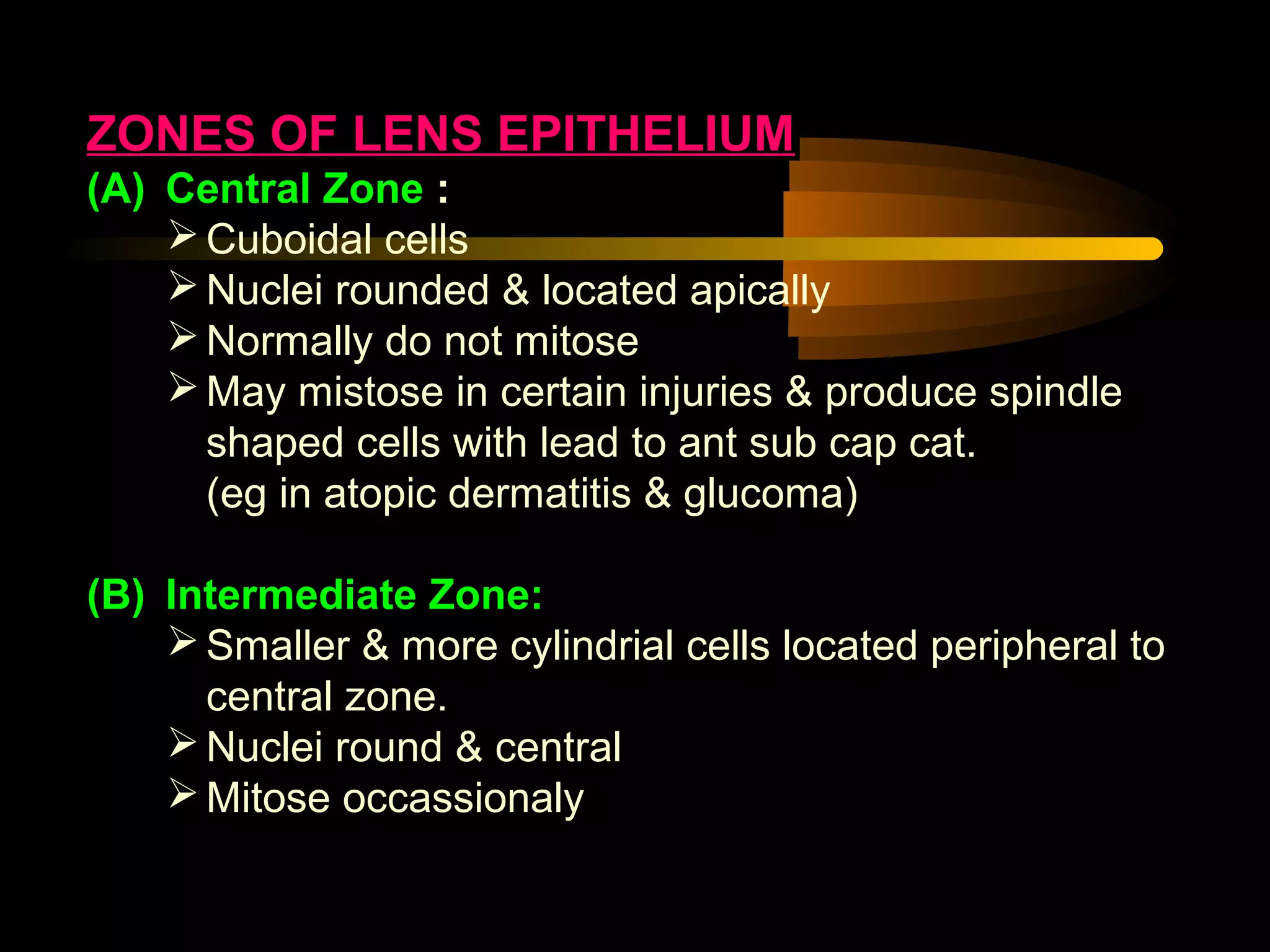 anatomy & physiology of lens | PPT